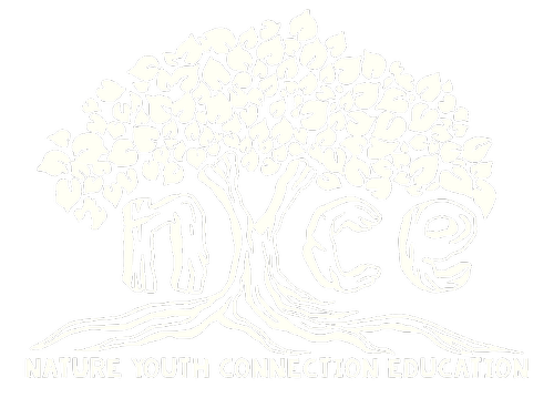Who We Are — NYCE