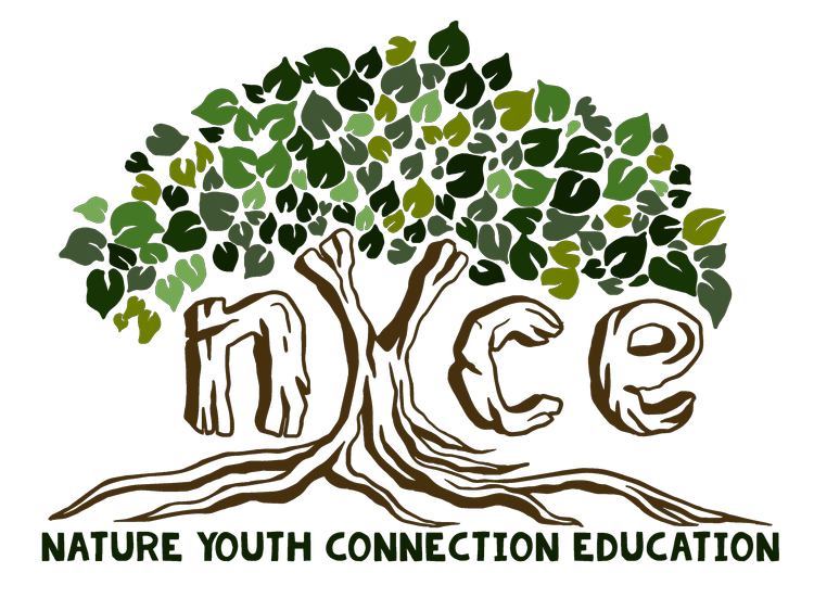 NYCE