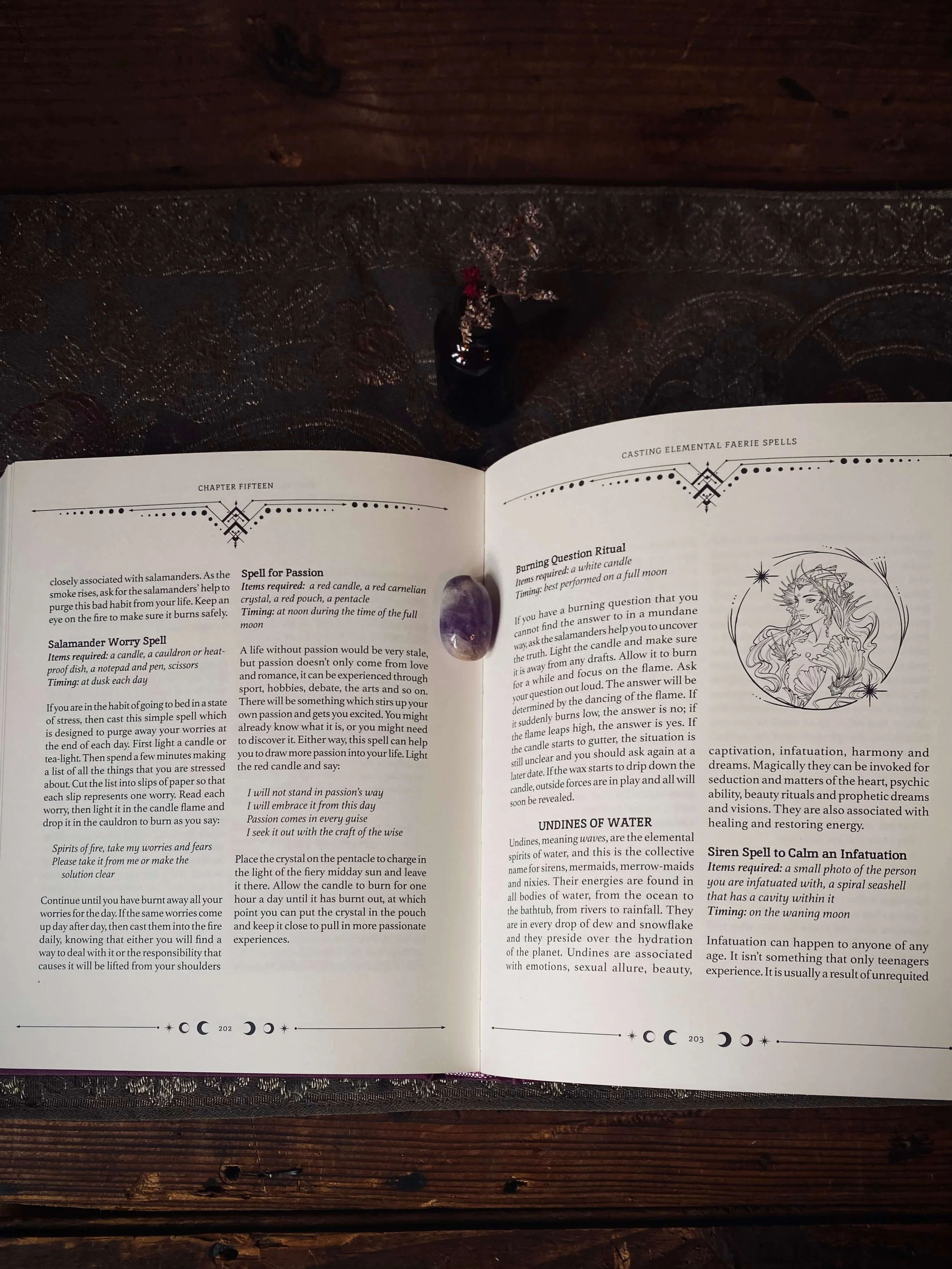 The Good Witch's Guide — Sideshow Gallery