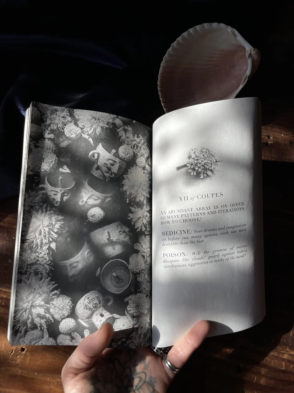 Coffin Cards — Sideshow Gallery