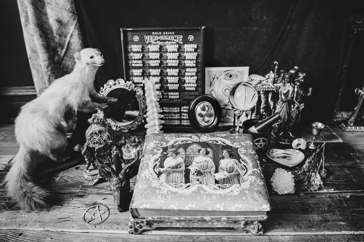 Shop — Sideshow Gallery