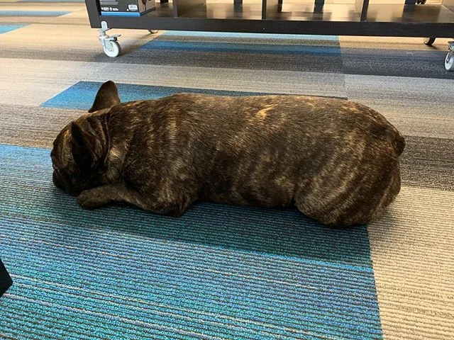 Our Team — Blue Architecture