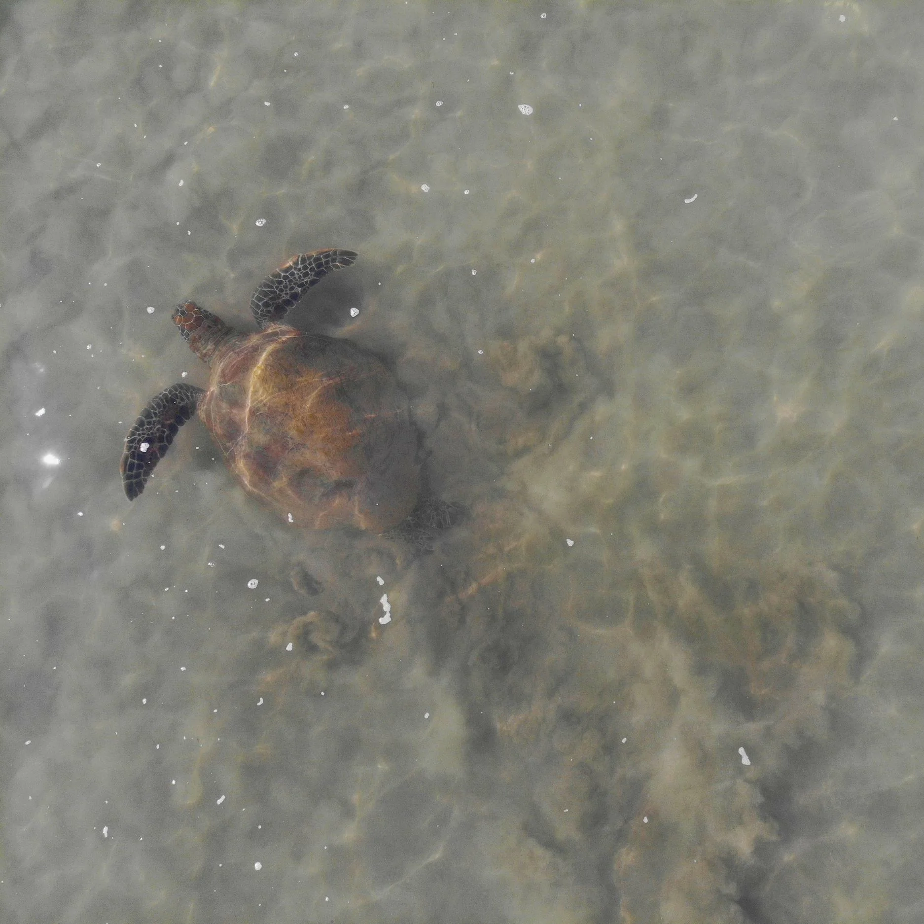 Exmouth Gulf — Oceanwise Australia