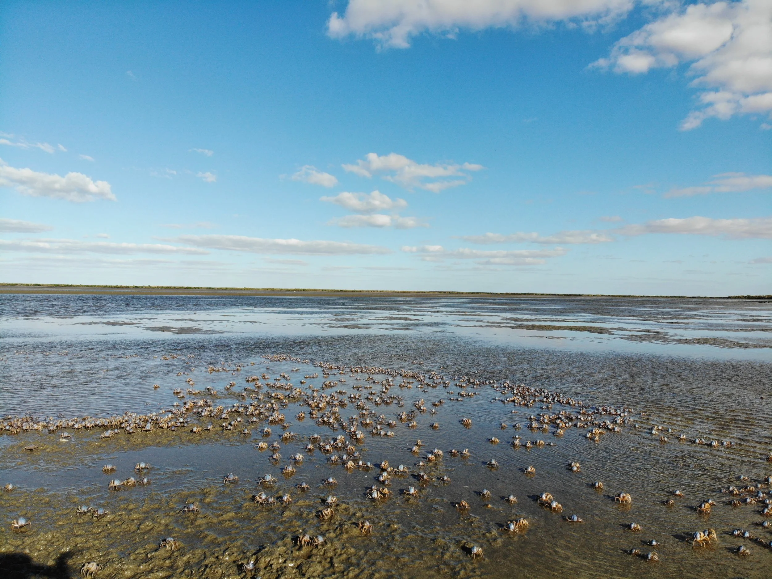 Oceanwise Australia