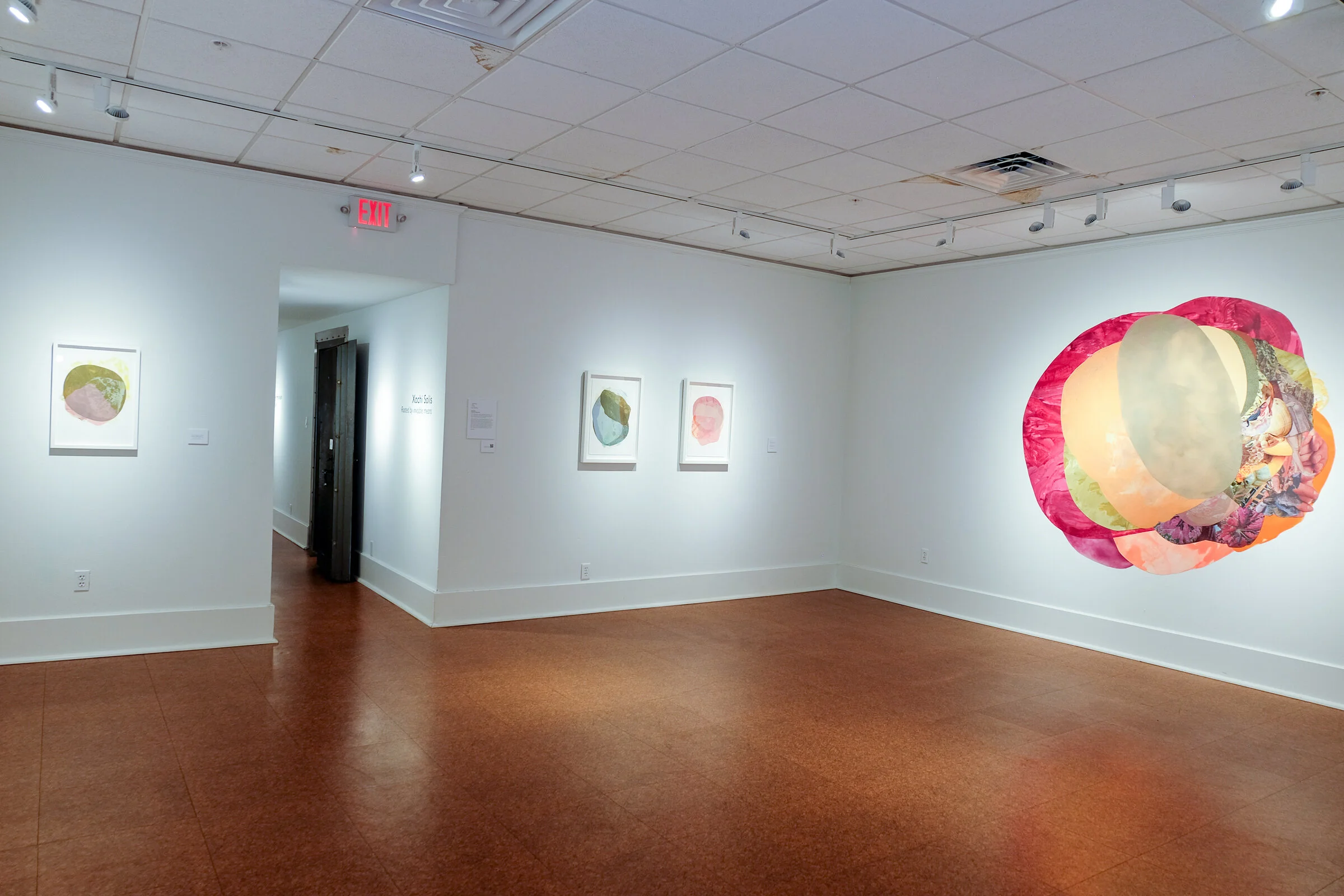 Xochi Solis — Galveston Arts Center