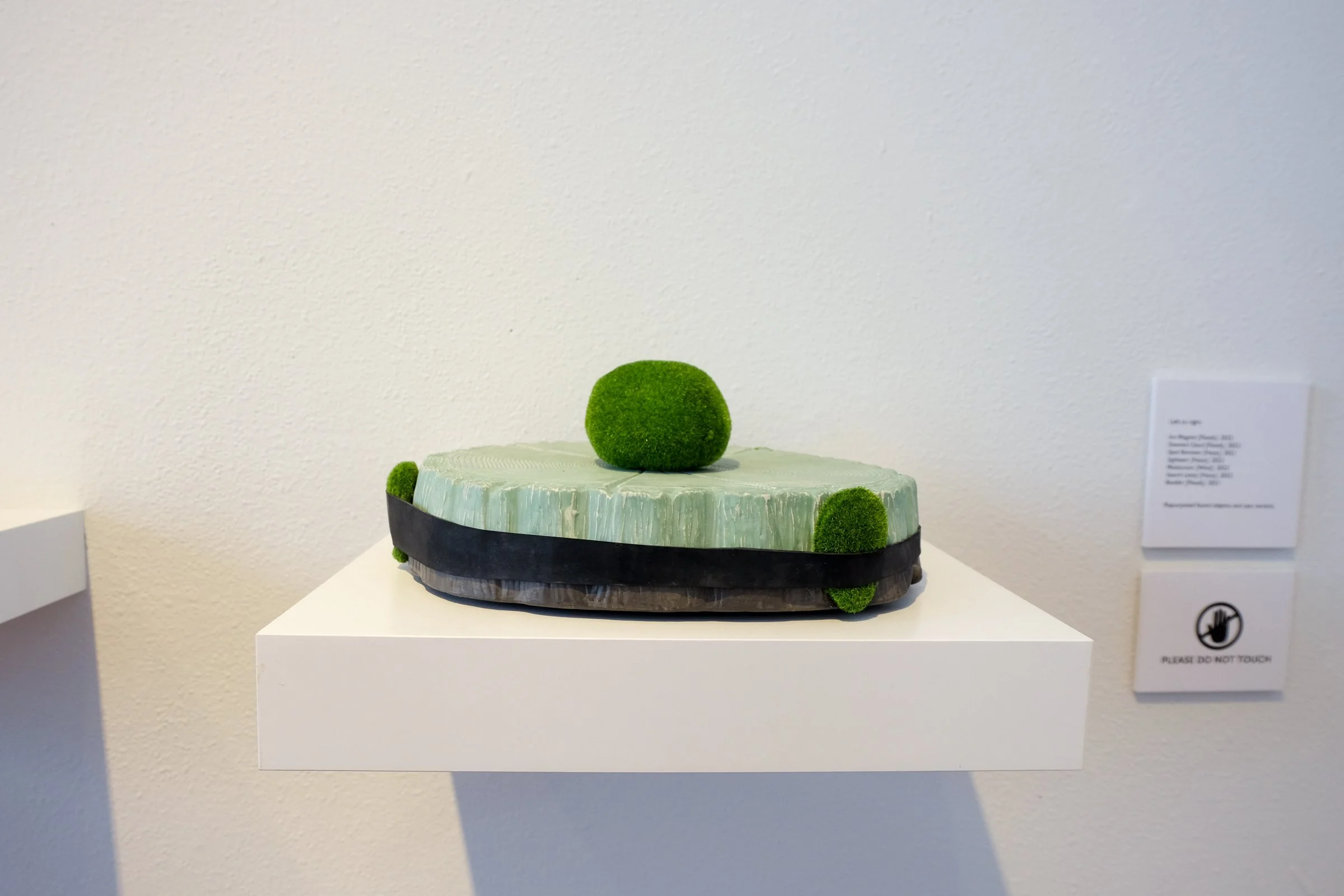 June Woest — Galveston Arts Center