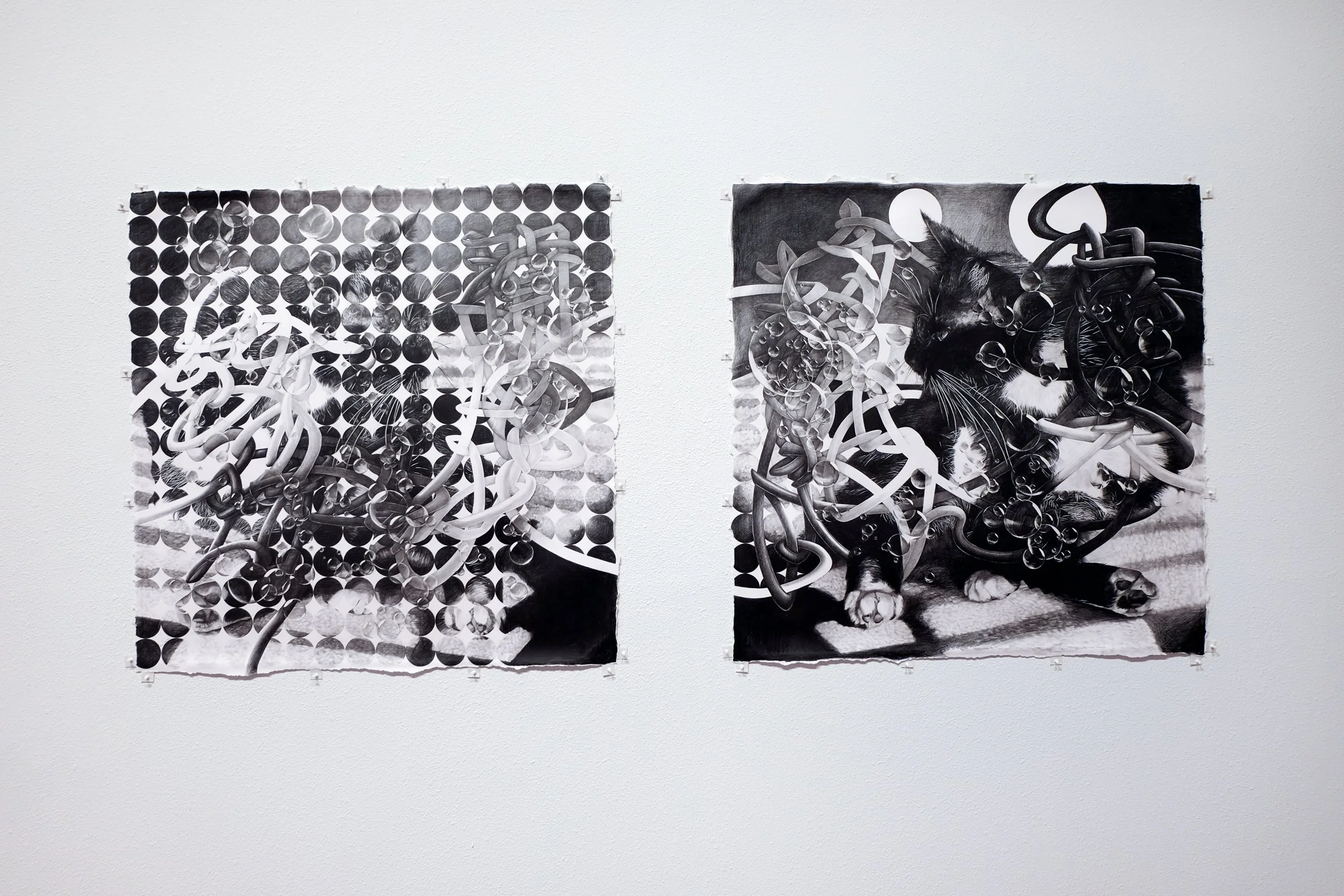 Mayuko Ono Gray — Galveston Arts Center