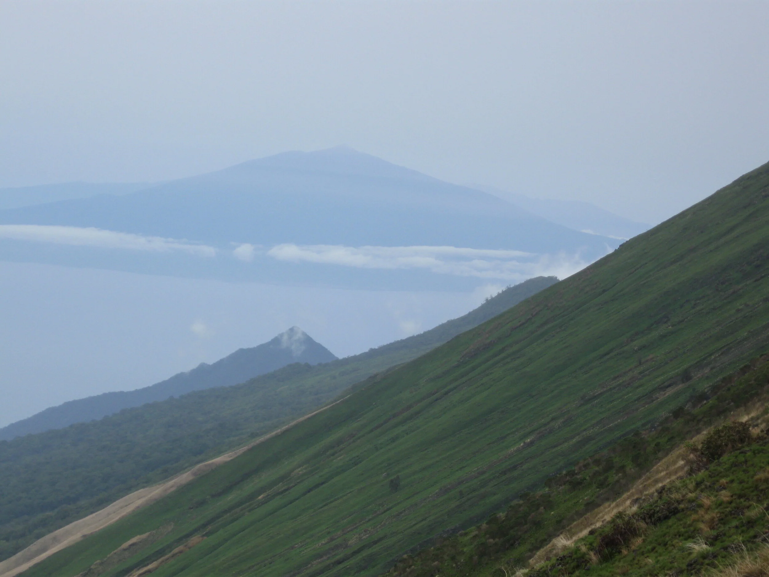 Cameroon — People and Plants International
