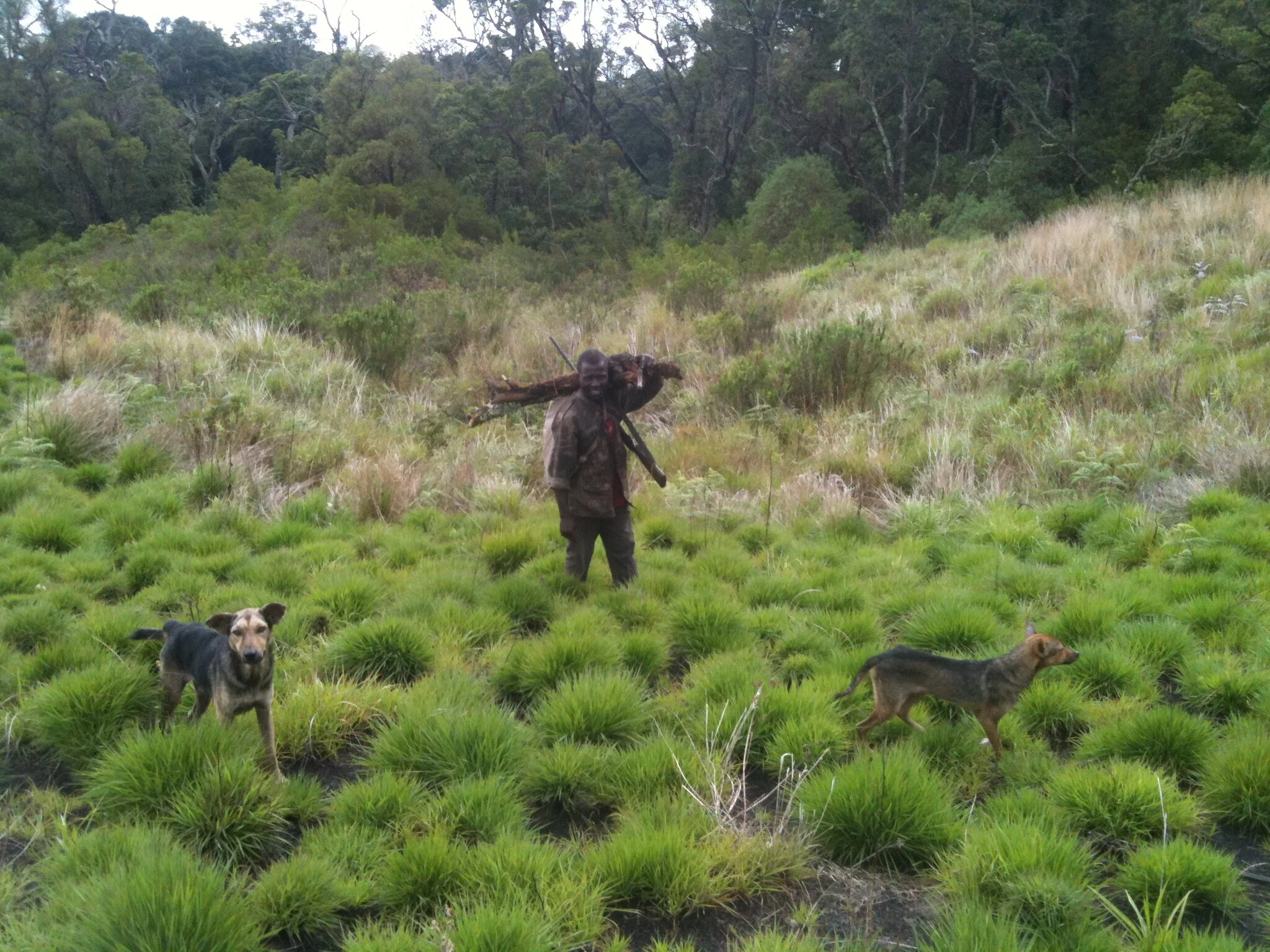 Cameroon — People and Plants International