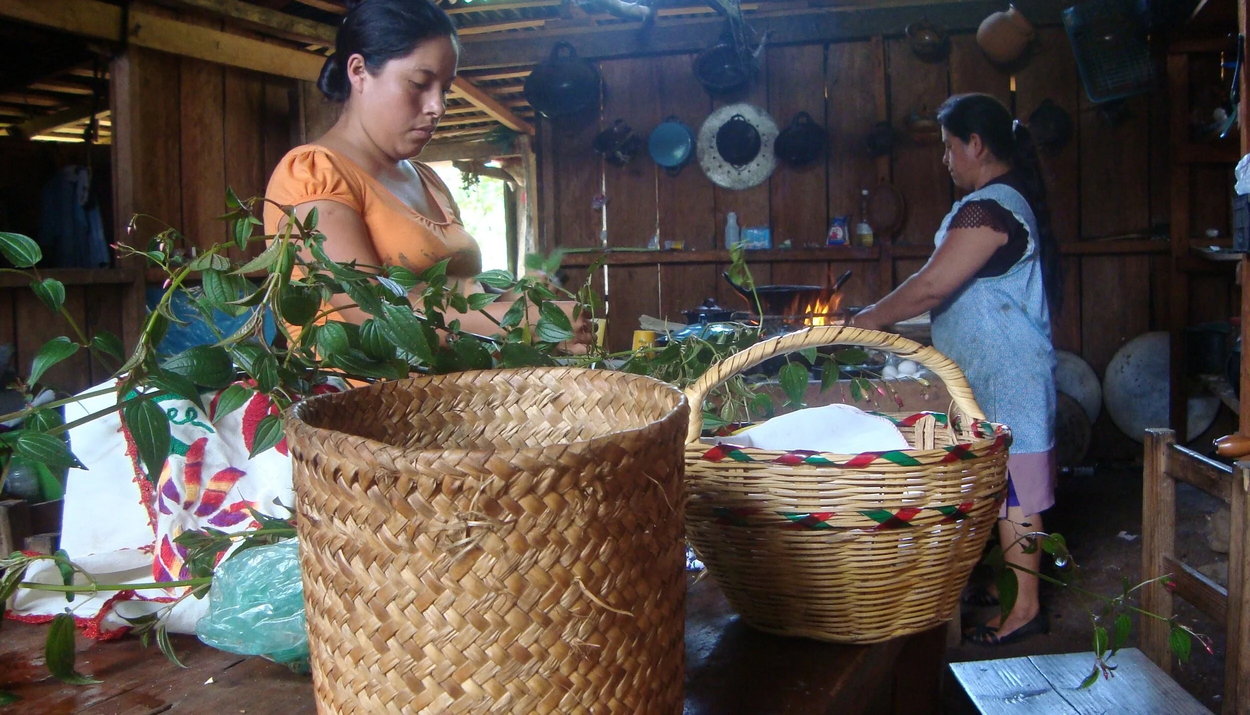 Traditional Foodways — People and Plants International