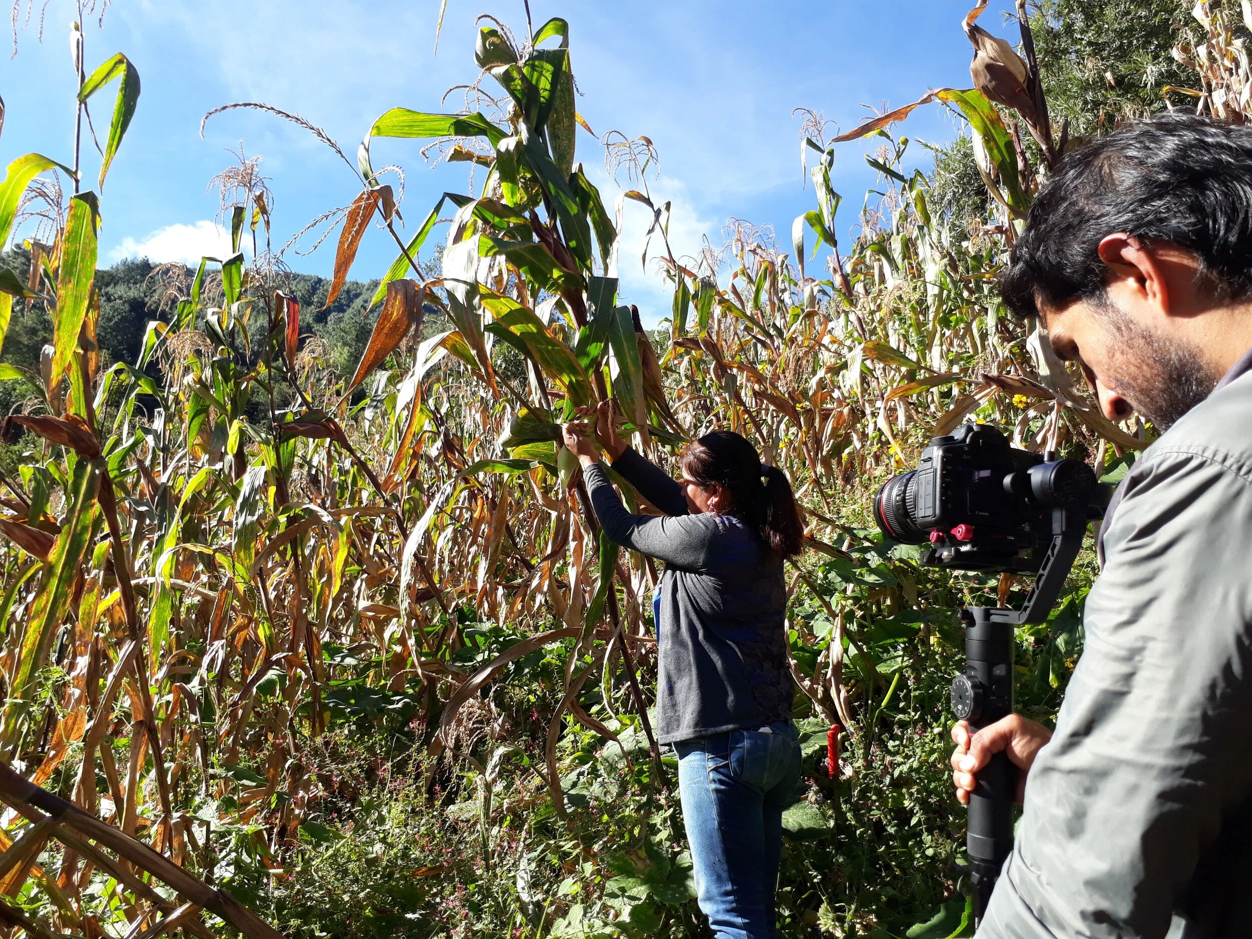 Ethics in Filmmaking — People and Plants International