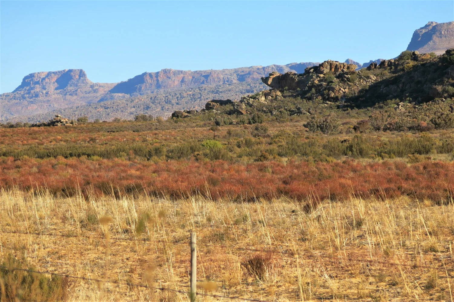 South Africa — People and Plants International