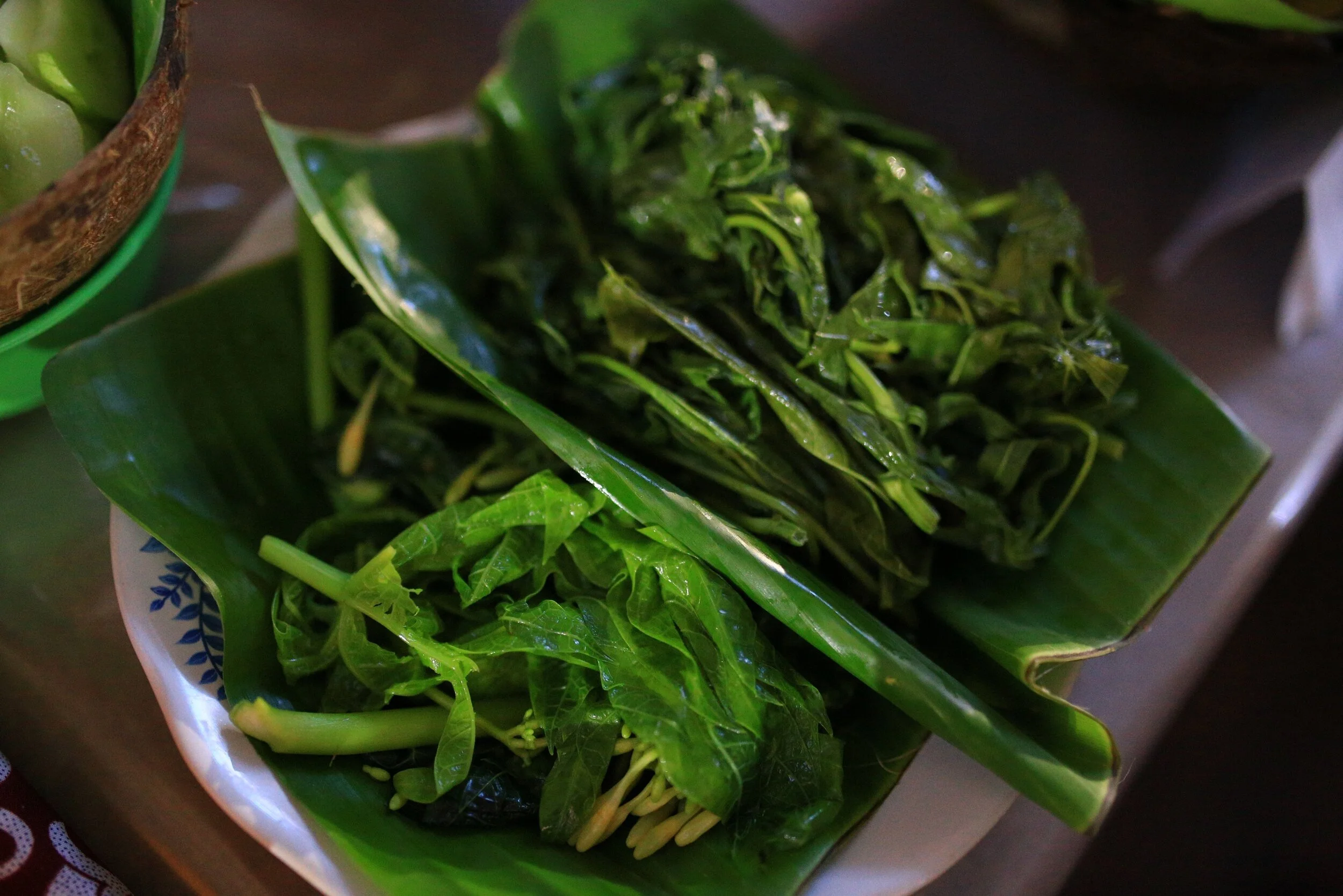 Indonesia — People and Plants International