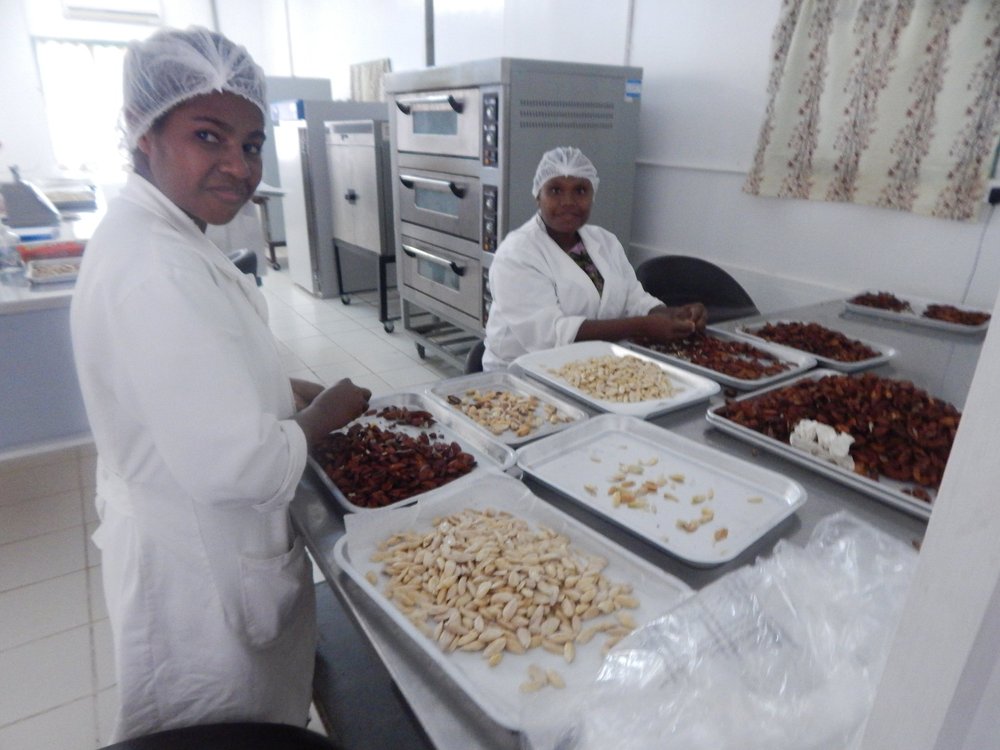 Canarium nut (Canarium indicum) — People and Plants International
