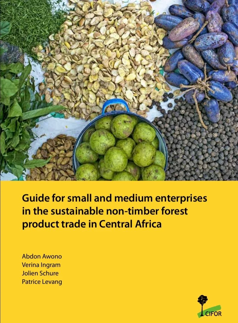 Bush mango (Irvingia spp.) — People and Plants International