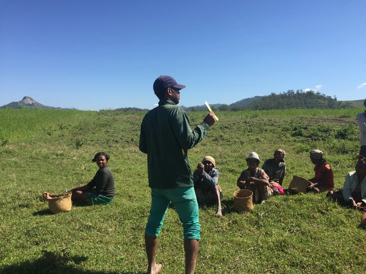 Centella asiatica — People and Plants International