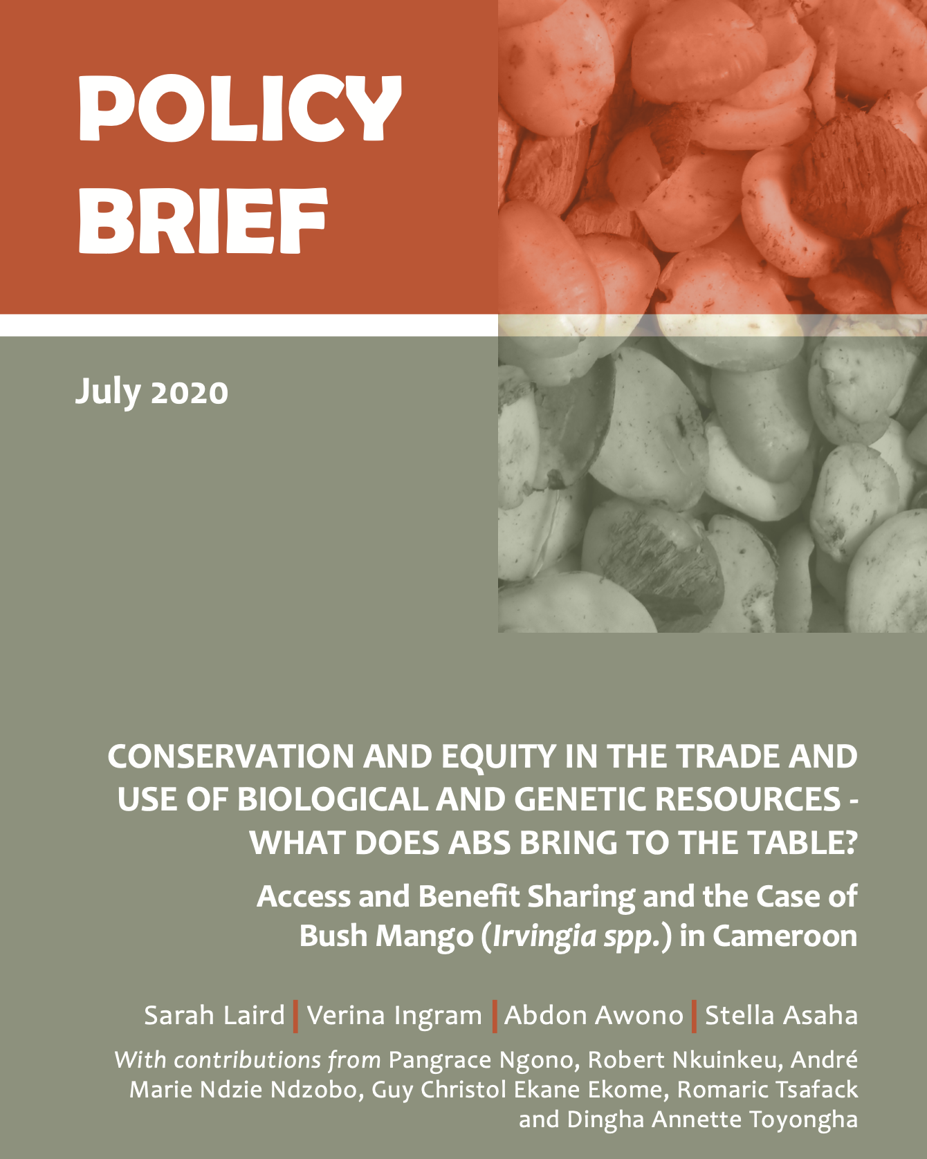 Bush mango (Irvingia spp.) — People and Plants International