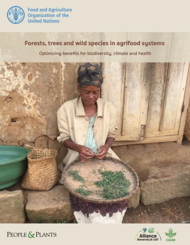Traditional Foodways — People and Plants International