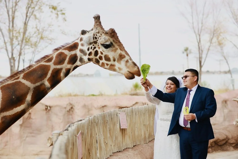 El Paso Zoo Events