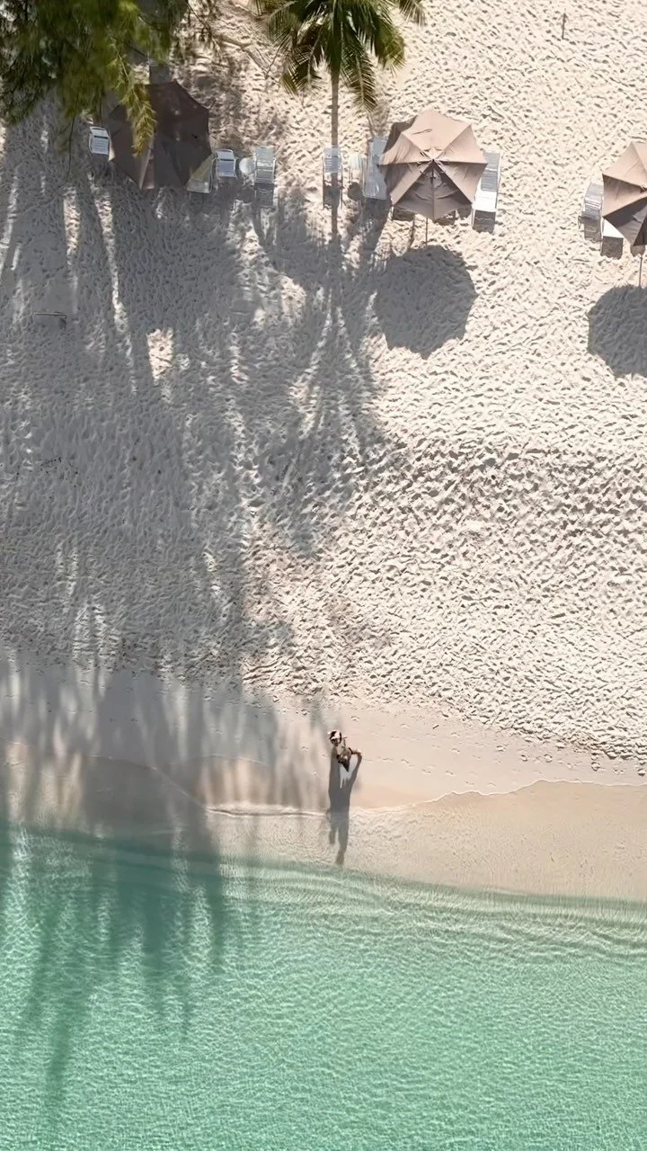 Insta Growth Guide — Lustic Media