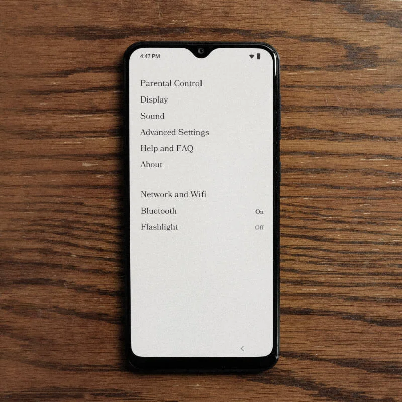 Meet your minimalist phone: Wisephone, the take-back-my-life phone ...
