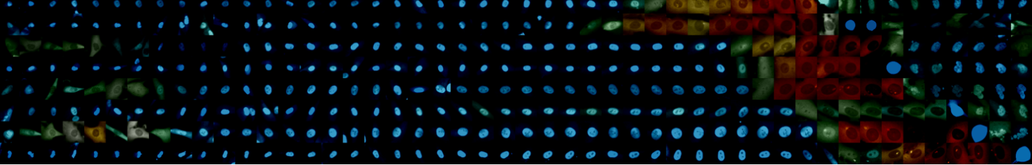 Research — Lahav Lab
