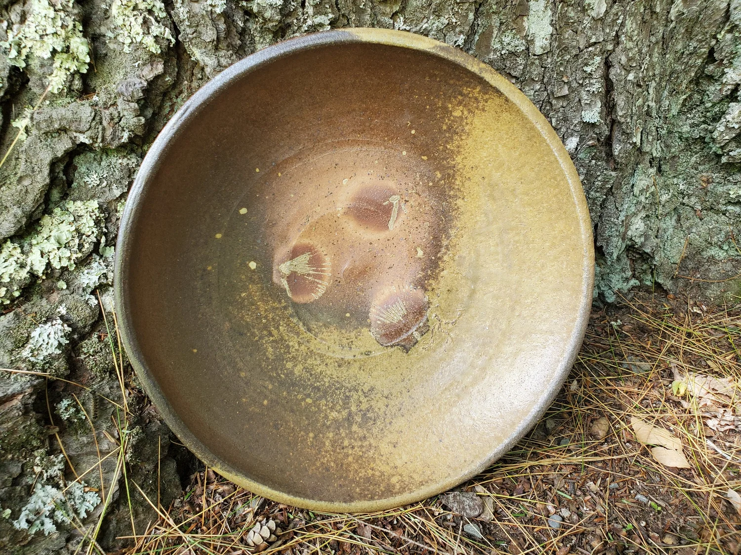 The Artists — Blue Hill Peninsula Potters