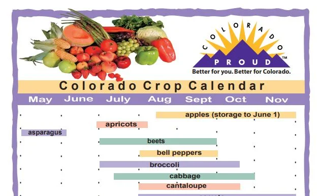Colorado Gardening - Vegetable Crops to Plant in August — Plant ...