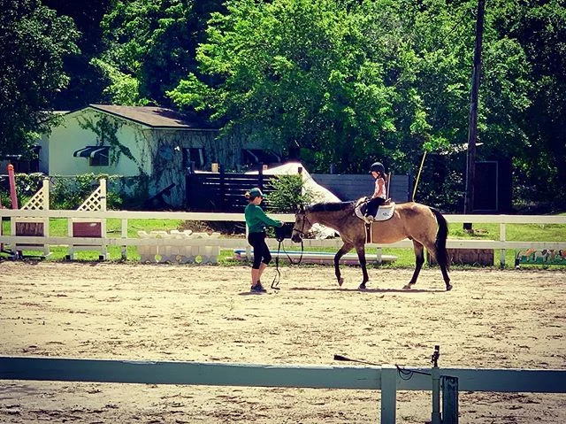 Contact — Myrland Stables