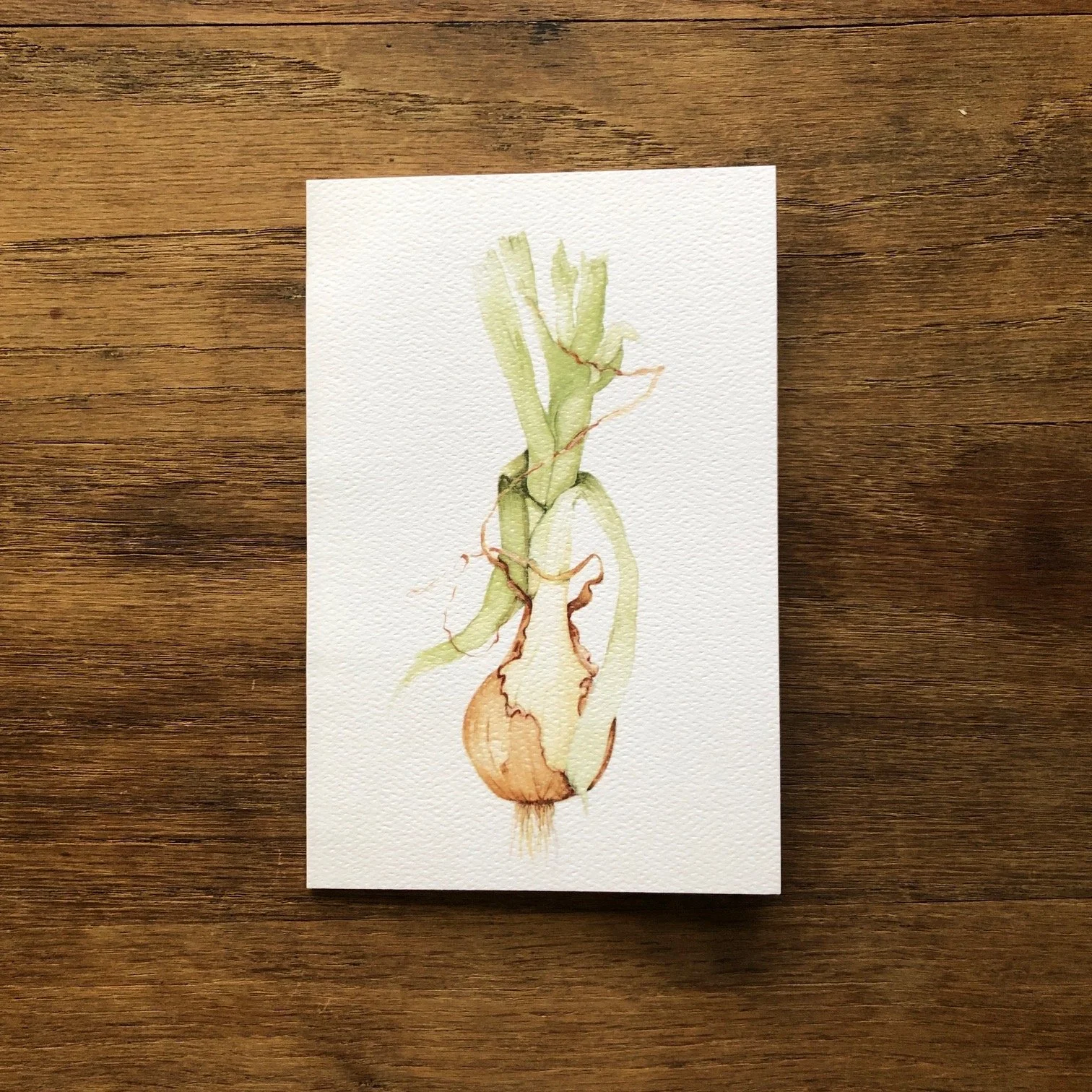 Onion Skin Naturally Dyed River Yarn — Fisher Cat Fiber Co.