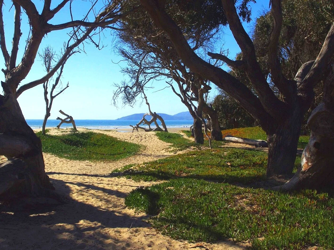 Camping at Pismo Beach I North Beach Campground — ROAD TRIP USA
