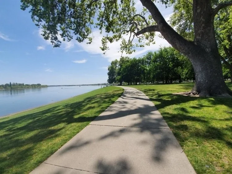 Best Things To Do in Tri-Cities, Washington — ROAD TRIP USA