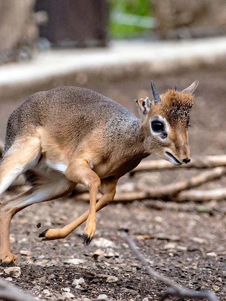 9 Absolute Best Things To Do In Topeka — ROAD TRIP USA