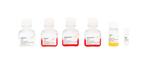 ObaCell | Human Adipose on a Chip | Obatala Sciences | Obatala Sciences