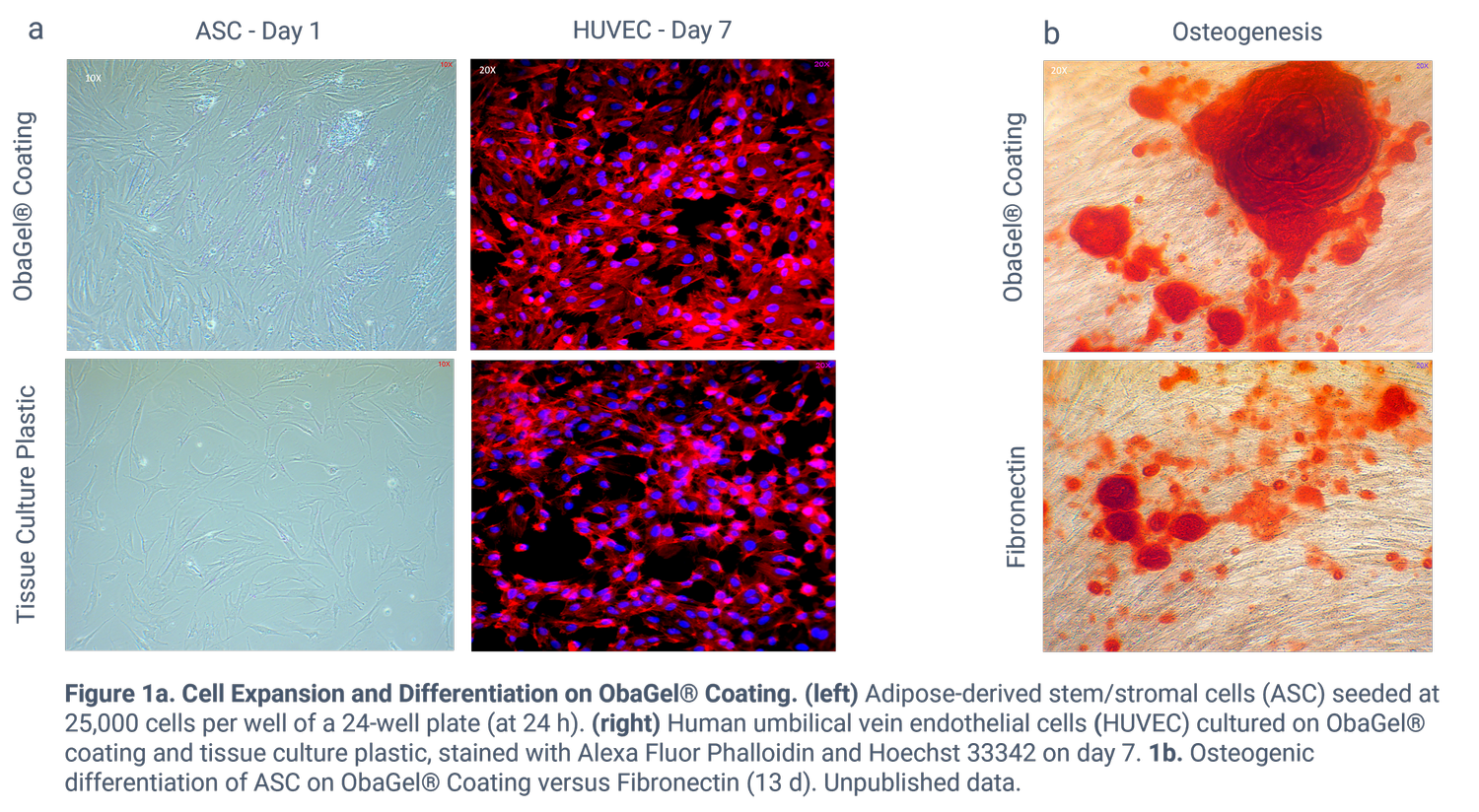 ObaGel® | Human-Derived ECM | Obatala Sciences | Obatala Sciences