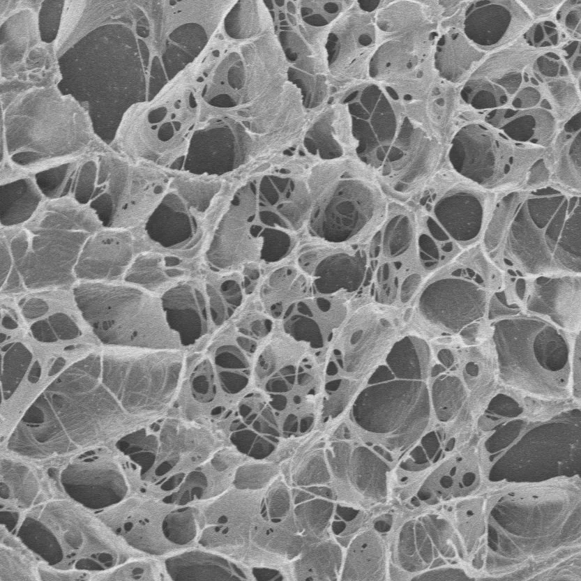 Posters | Obatala Sciences