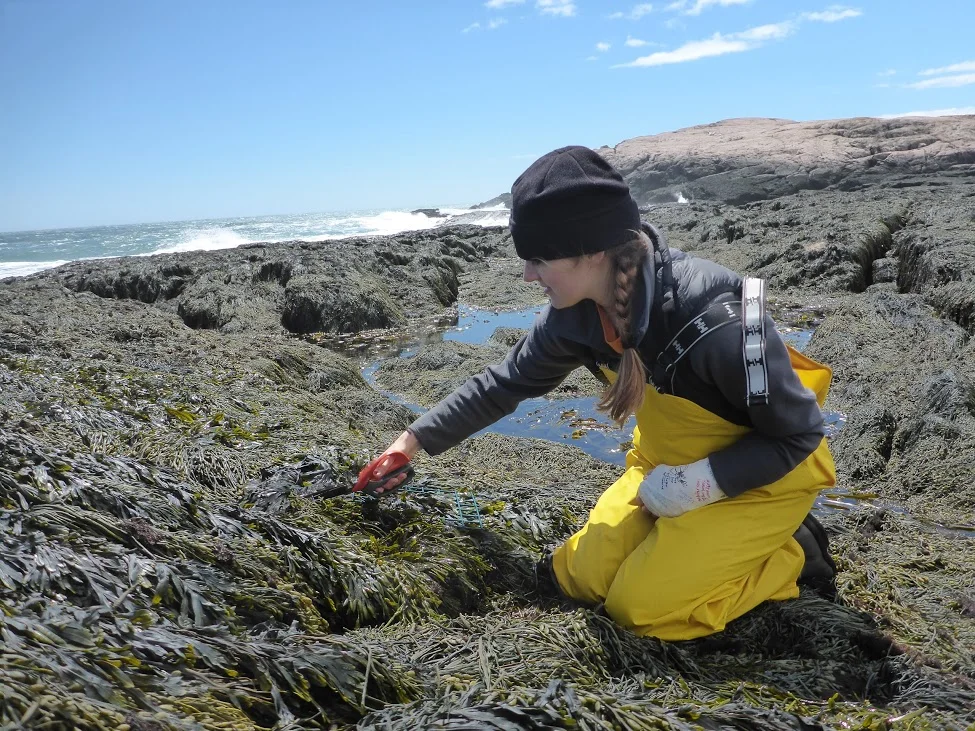 Current Lab Members — Coastal Ecology and Evolution
