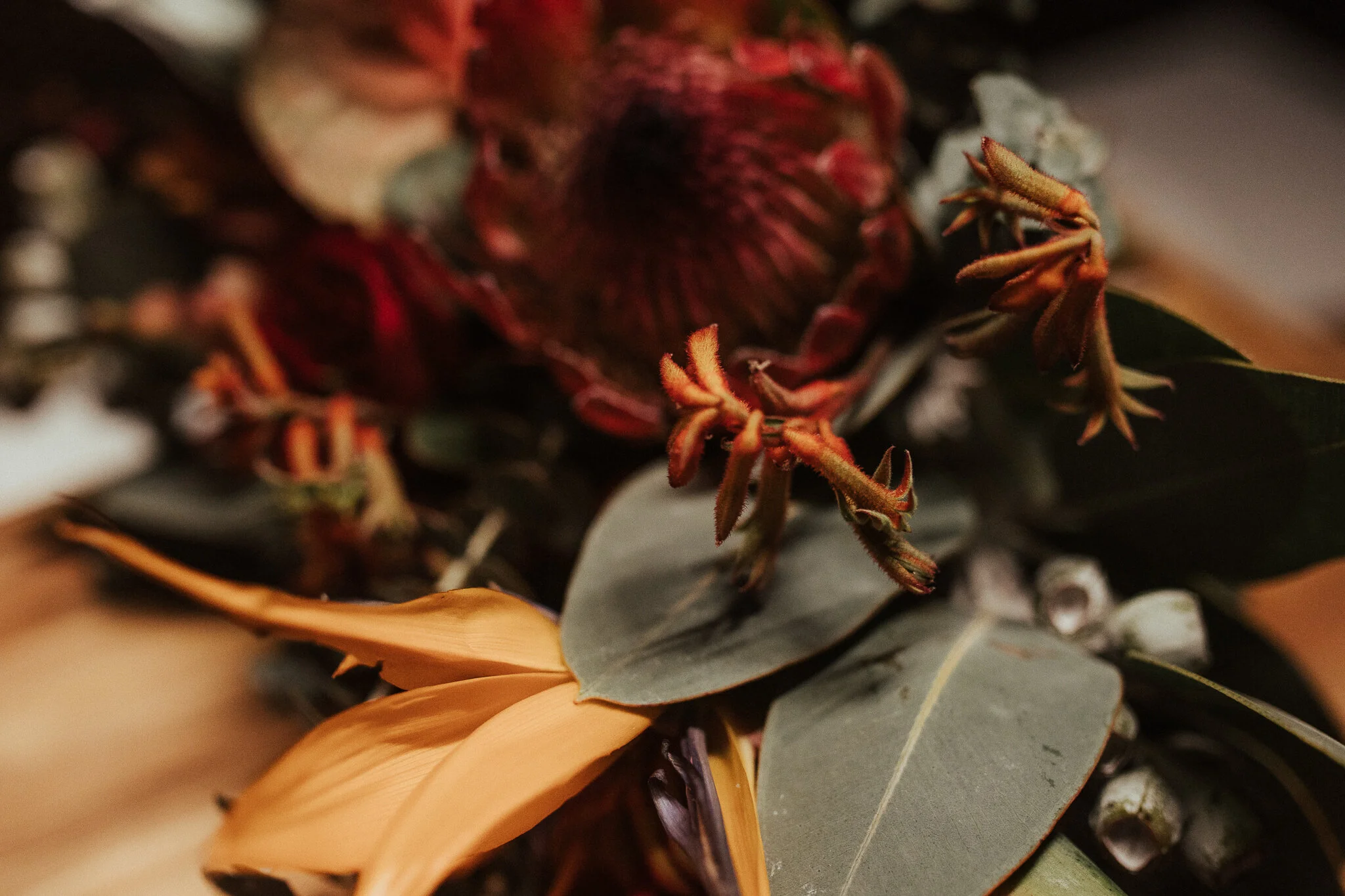 Wedding Photography Darwin and Palmerston | Joanne Cook Photography ...