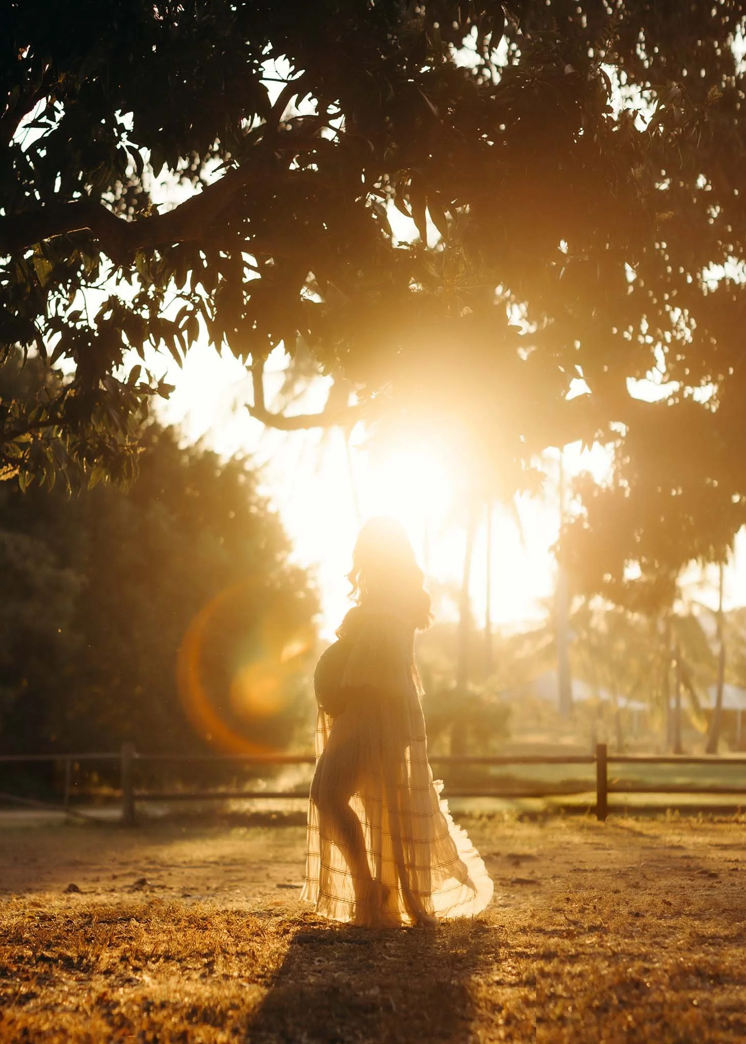 Maternity Photography Darwin and Palmerston | Joanne Cook Photography ...