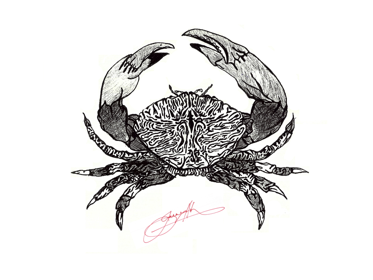 Jassy Husk Artwork — Jassy Husk