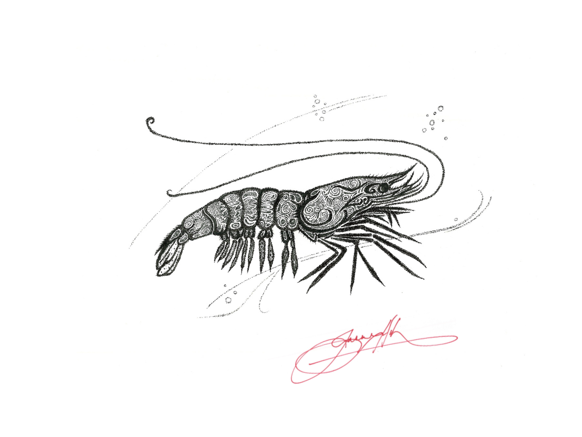 Jassy Husk Artwork — Jassy Husk