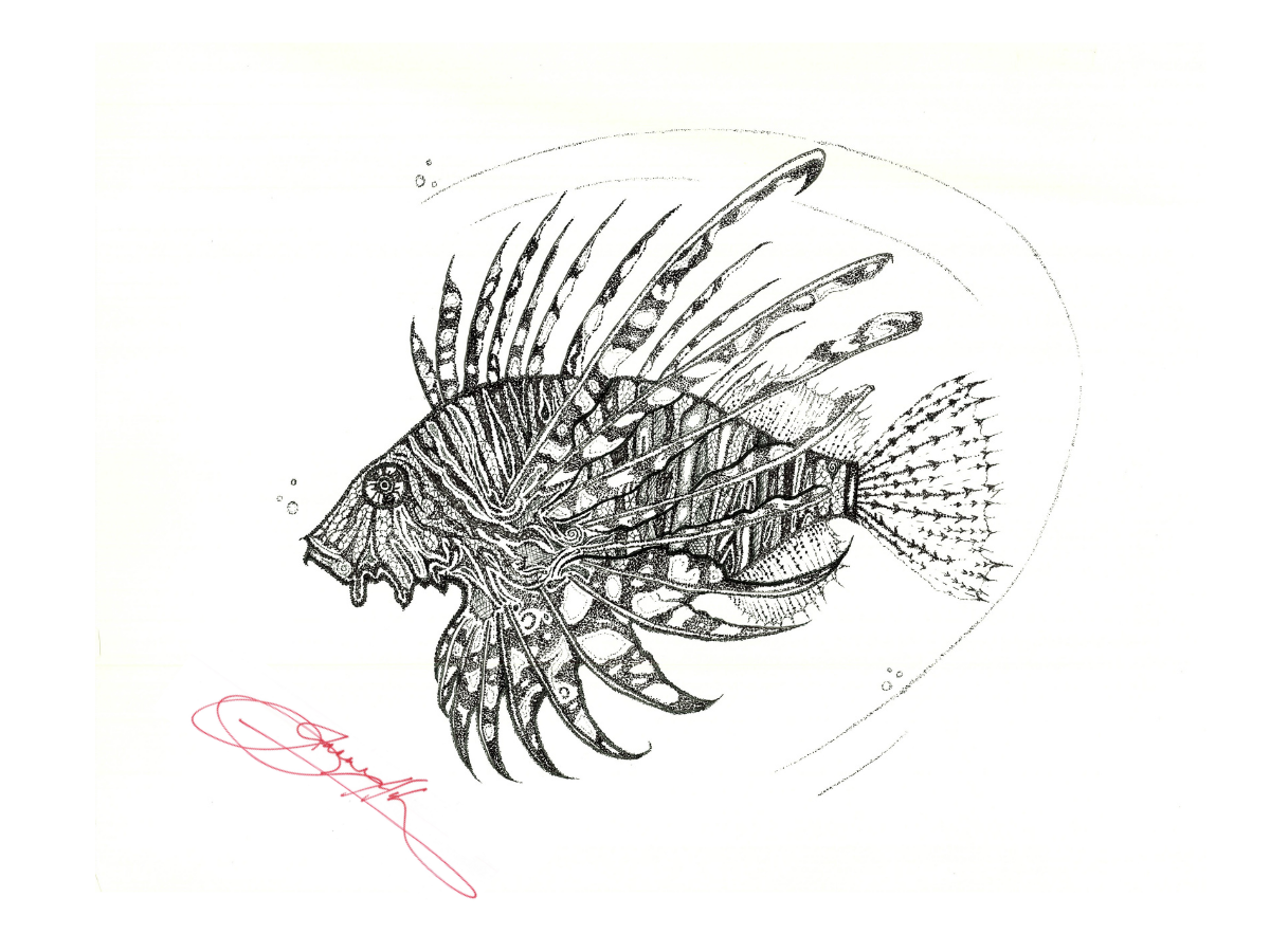 Jassy Husk Artwork — Jassy Husk