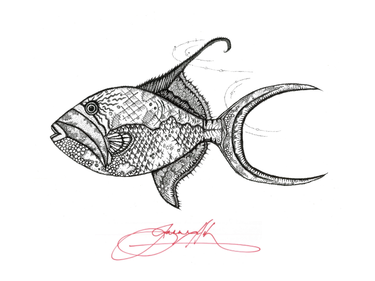Queen Triggerfish — Jassy Husk