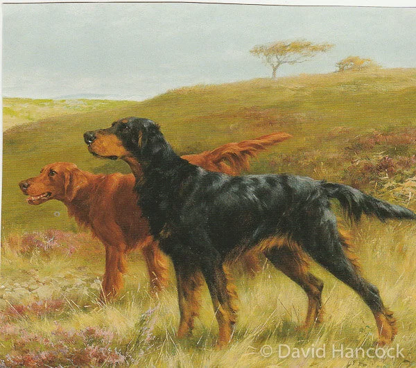 1142 SETTERS IN SCOTLAND — David Hancock