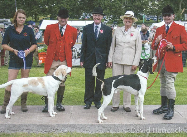 1166 HOUNDS OF THE PACK — David Hancock