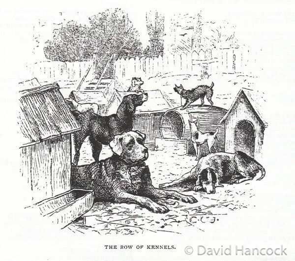 1178 FINDING A SUITABLE GUARD DOG — David Hancock