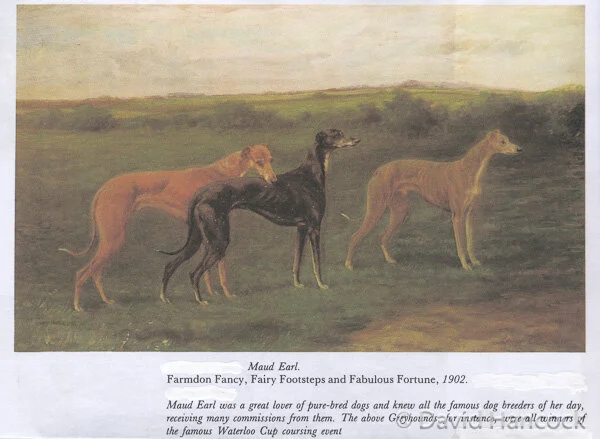 1184 THE GOODBYE GREYHOUND — David Hancock