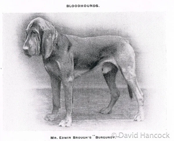 1211 — David Hancock