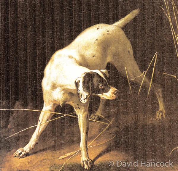 1215 — David Hancock