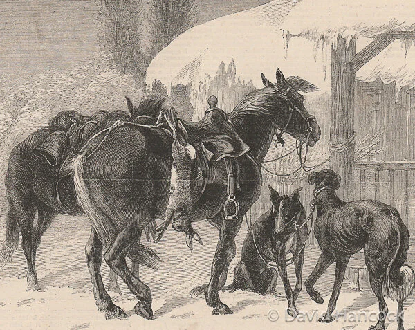 1218 — David Hancock